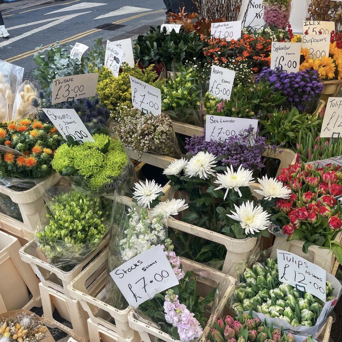 How to Make Your Camera Roll Look Like a Pinterest Board - College ...